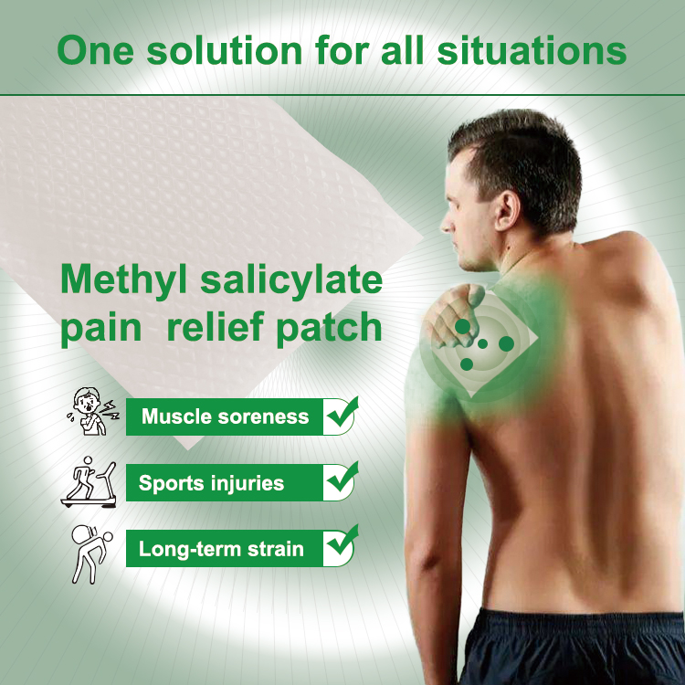 Shoulder Pain Relief Patches Maximum Strength - Biours Biosciences Co., Ltd.