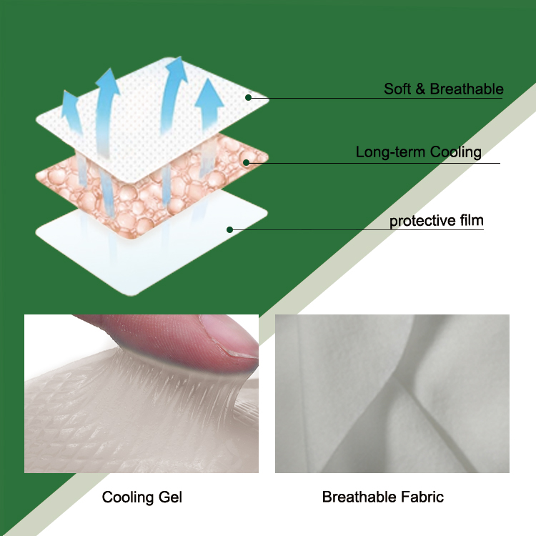 FLEX PATCHES FOR MUSCLE PAIN - Biours Biosciences Co., Ltd.