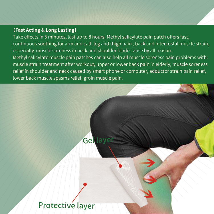 FLEX PATCHES FOR MUSCLE PAIN - Biours Biosciences Co., Ltd.