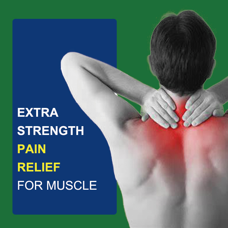 FLEX PATCHES FOR MUSCLE PAIN - Biours Biosciences Co., Ltd.