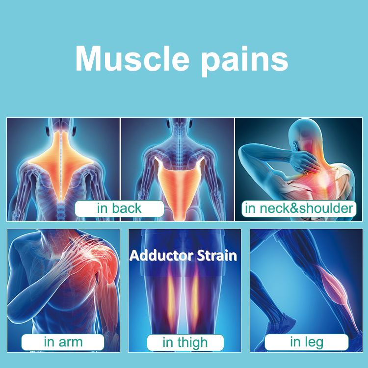 FLEX PATCHES FOR MUSCLE PAIN - Biours Biosciences Co., Ltd.