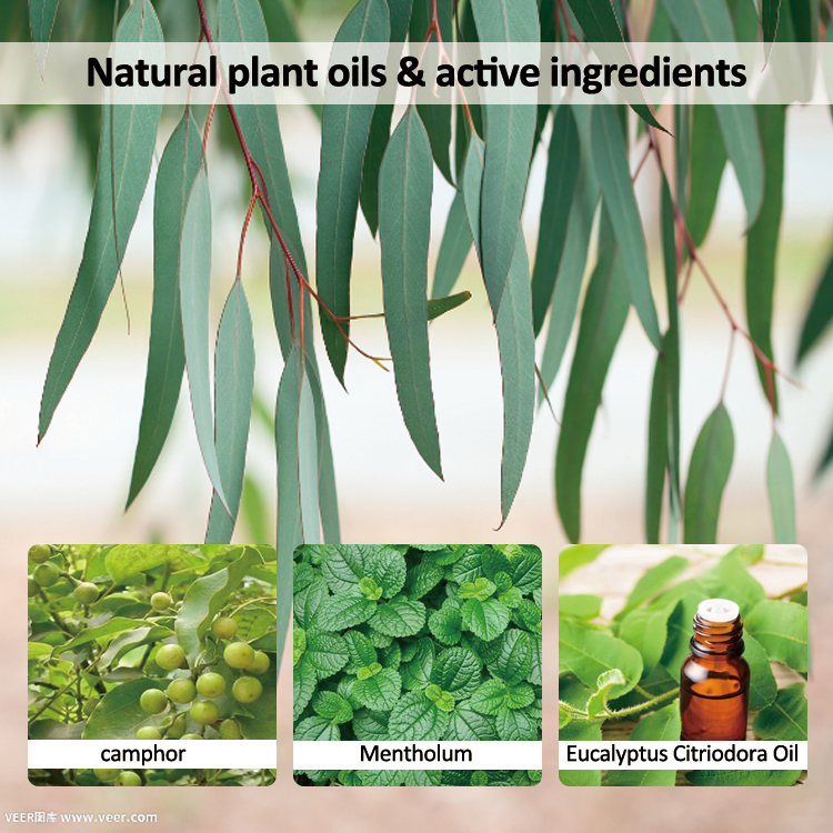 Back Pain Relief Products - Biours Biosciences Co., Ltd.