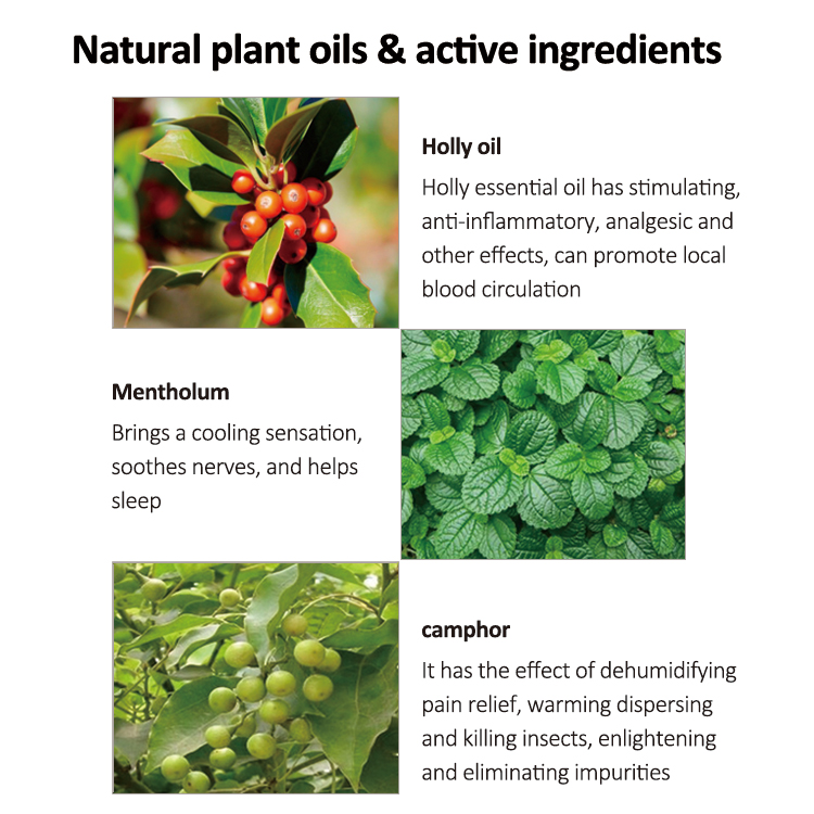 FLEX PATCHES FOR MUSCLE PAIN - Biours Biosciences Co., Ltd.