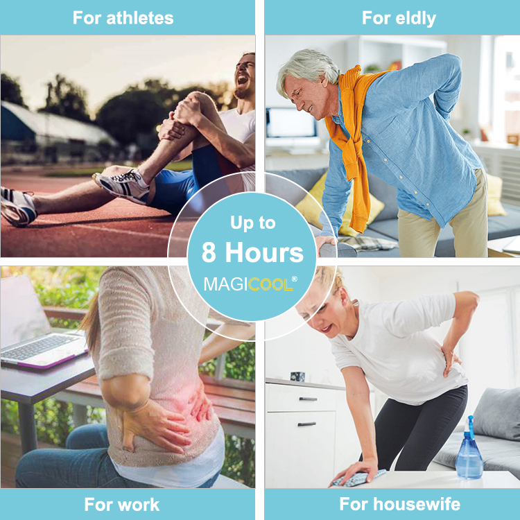 FLEX PATCHES FOR MUSCLE PAIN - Biours Biosciences Co., Ltd.